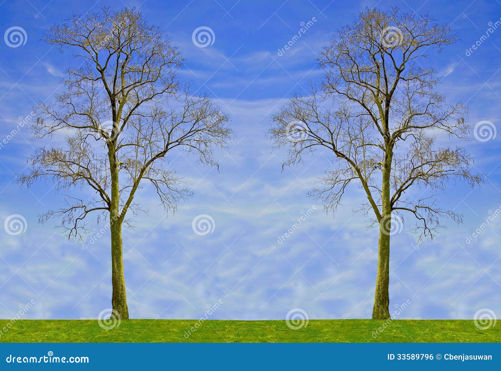 Tree on Blue Sky Background Stock Photo - Image of single, green: 33589796