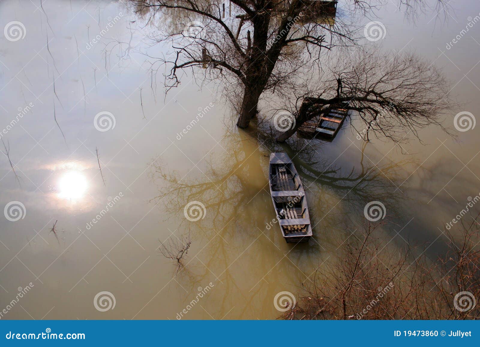 Tree and Boats in Floodwater - Bodrog River Hungar Stock Photo - Image ...