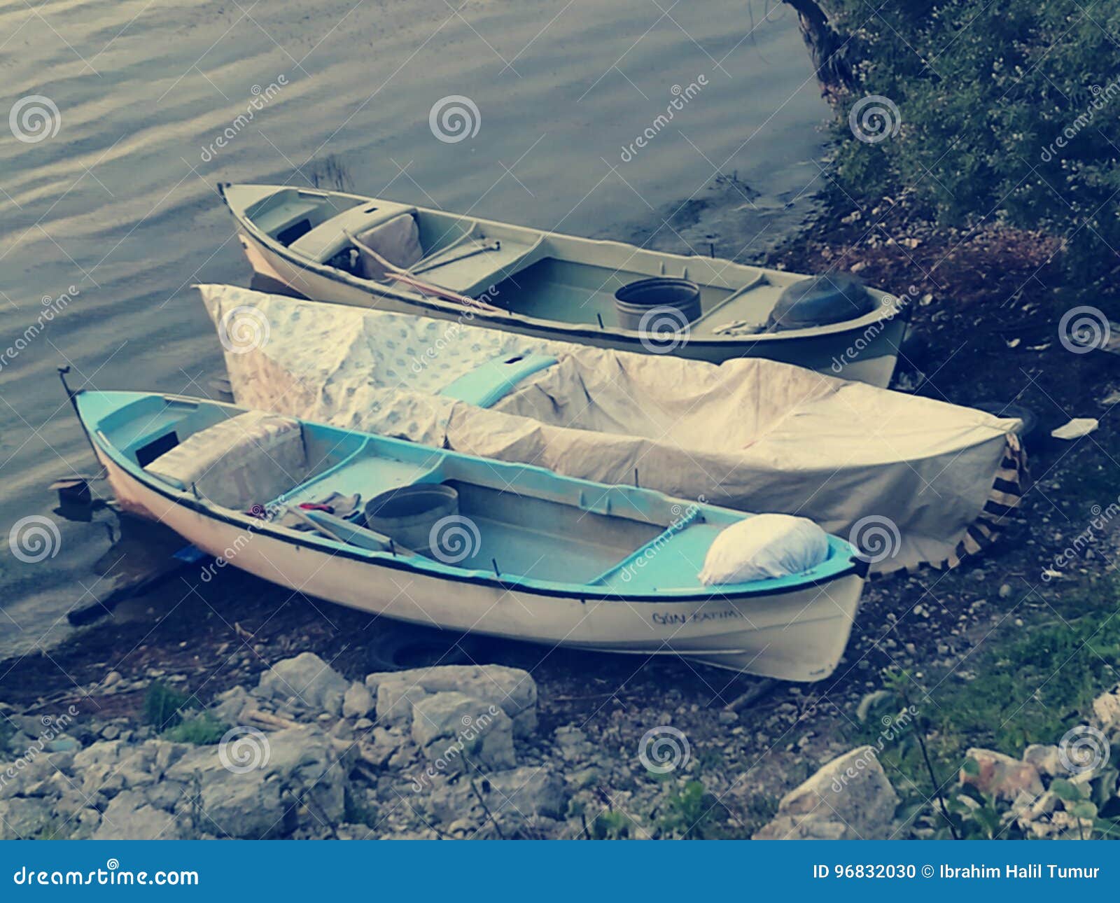 Tree boats editorial image. Image of tree, boats, lake - 96832030