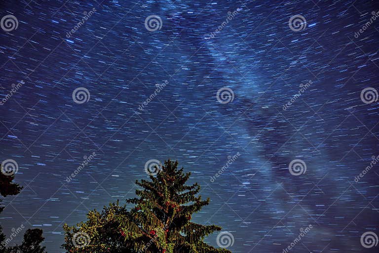 Tree Branch and Billion Star and Constellation on Sky Stock Image ...