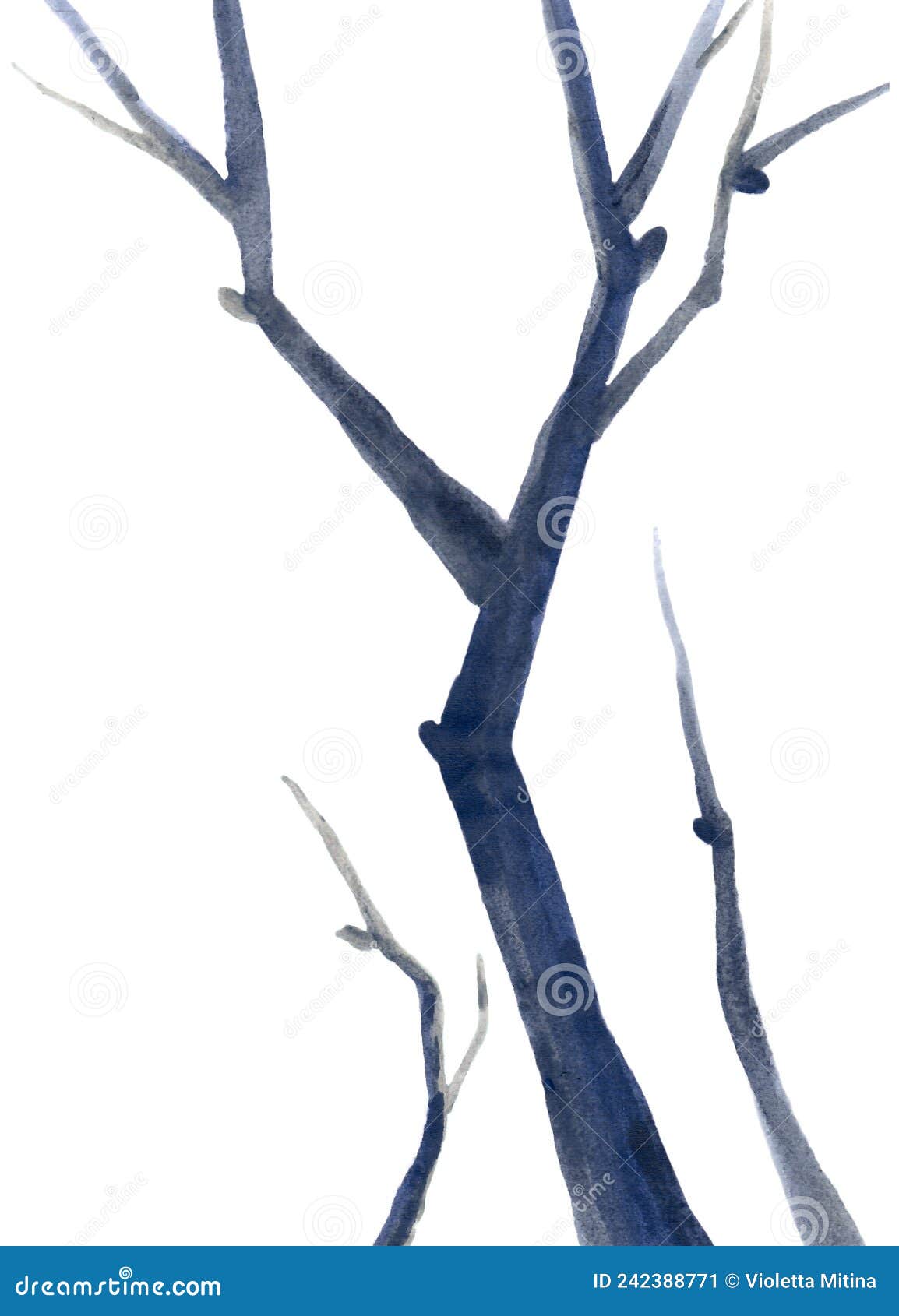 A Tree Branch. a Blue, Gnarled Branch, without Leaves Stock ...
