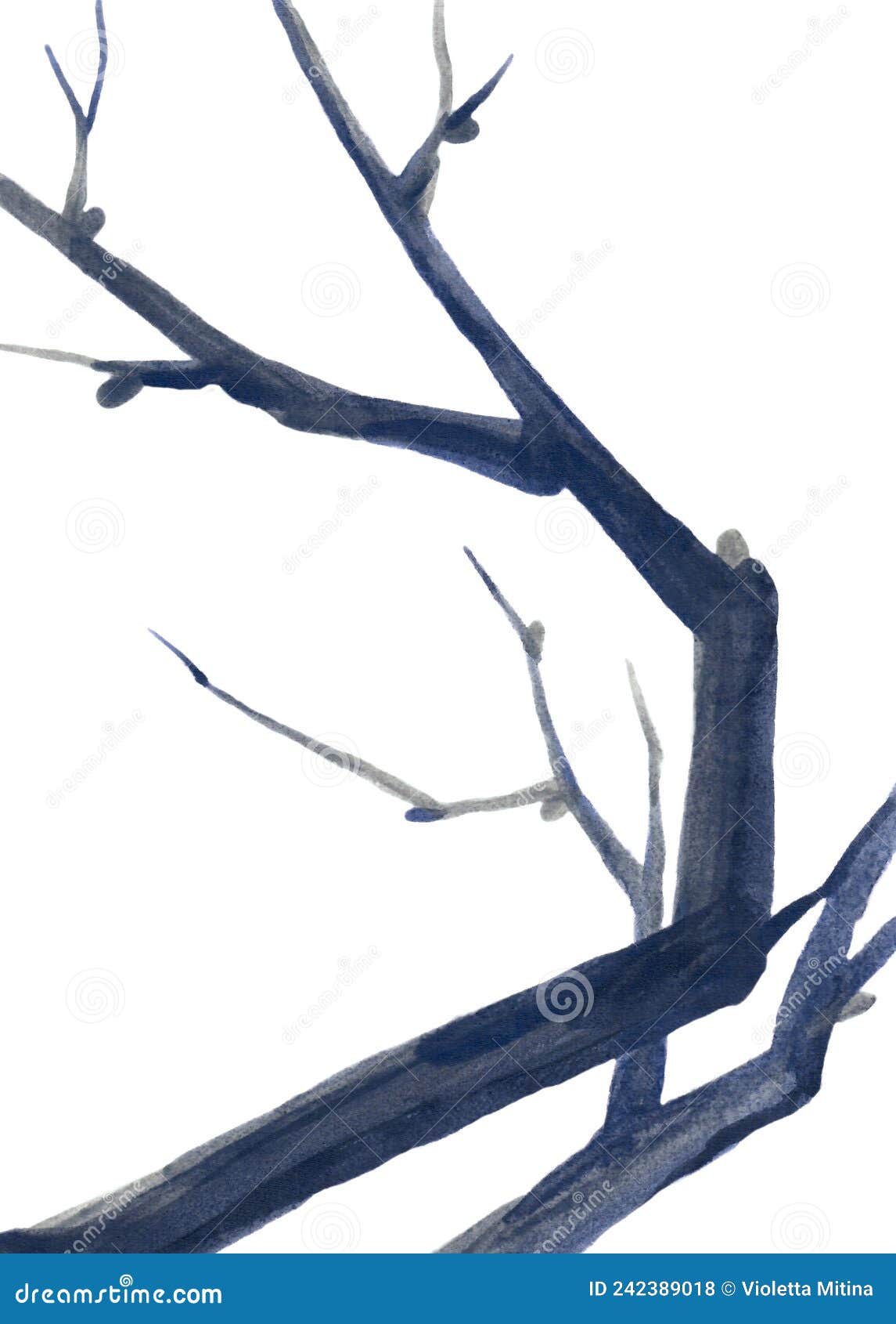 A Tree Branch. a Blue, Gnarled Branch, without Leaves Stock ...