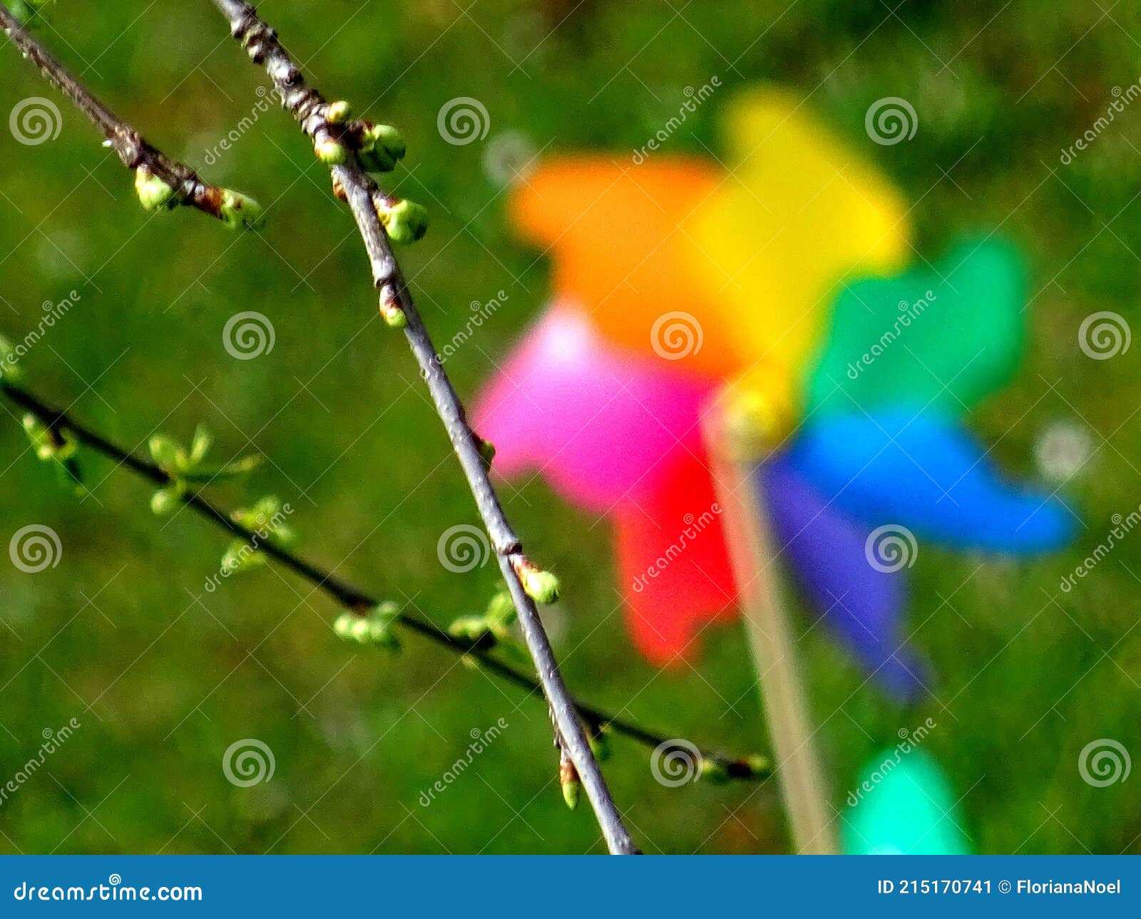 Tree Branch and Blurred Wildmill Stock Image - Image of shrub ...