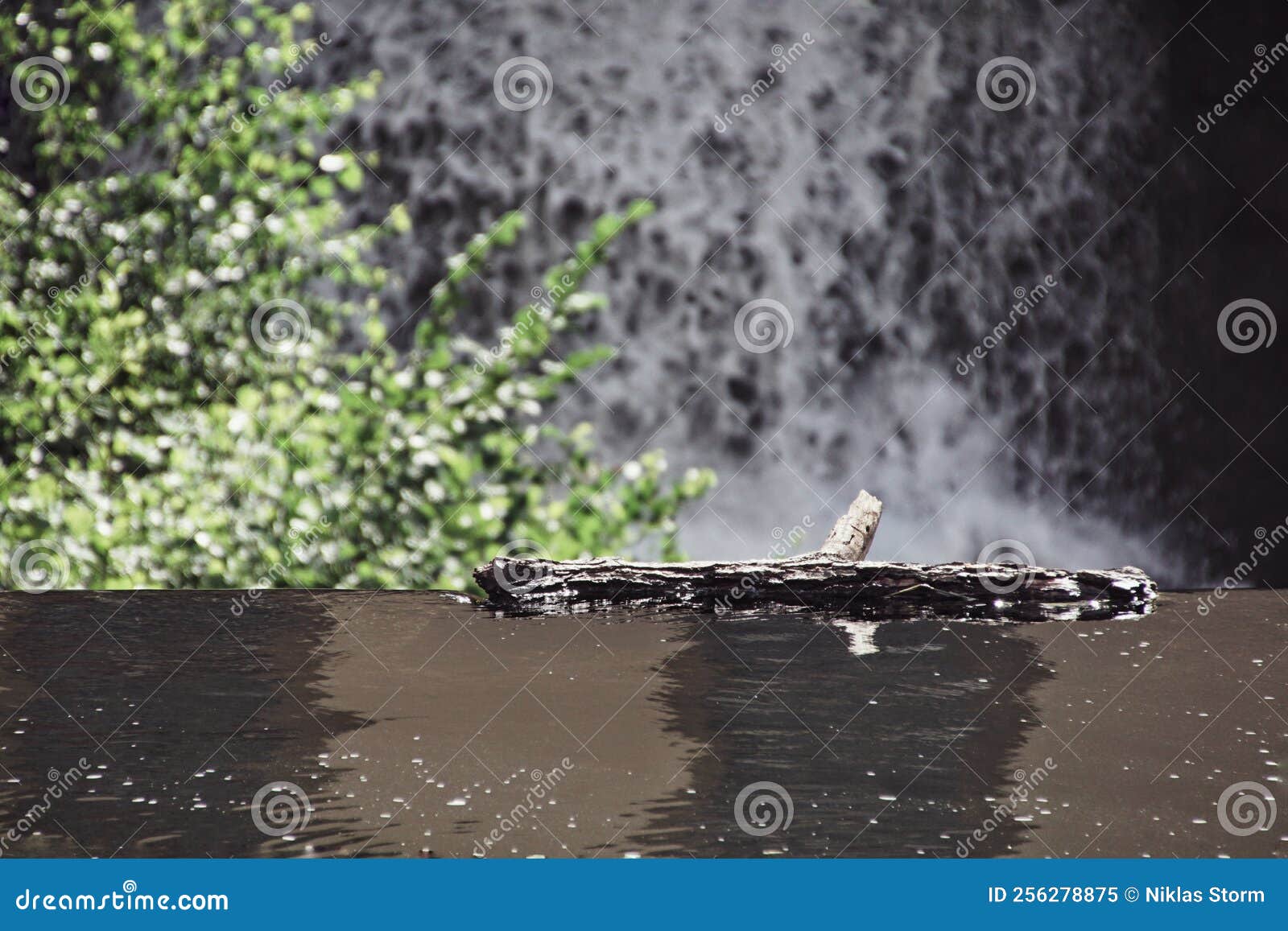 Tree Branch Floating by Waterfall Stock Image - Image of soil, pond ...