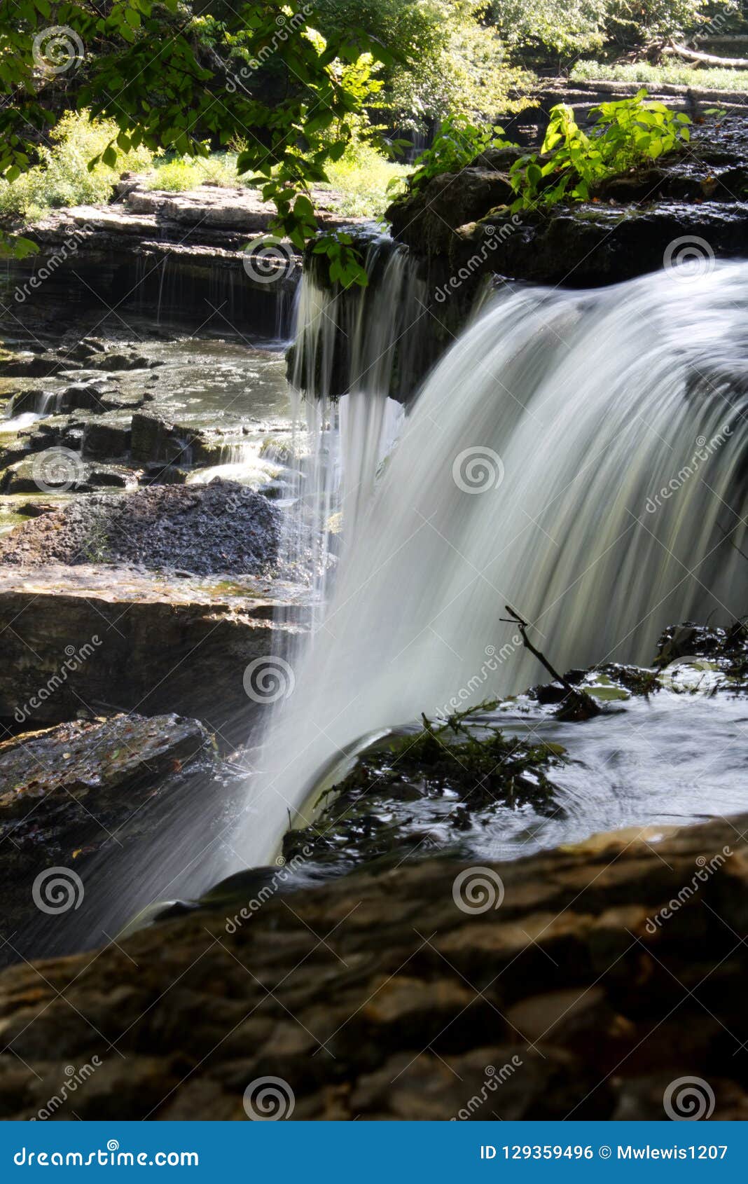 Tree Branch Hangs Over Waterfall Stock Photo - Image of stone, plants ...