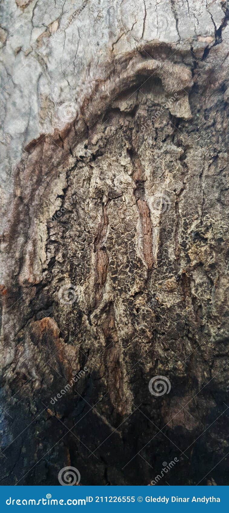 A Tree Branch that Has a Unique Motif Stock Image - Image of flower ...