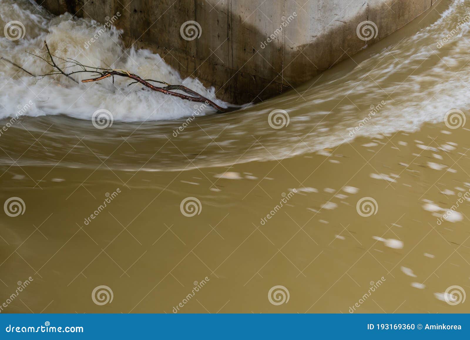 Tree Branch Held Next To Dam`s Support Column Stock Photo - Image of ...