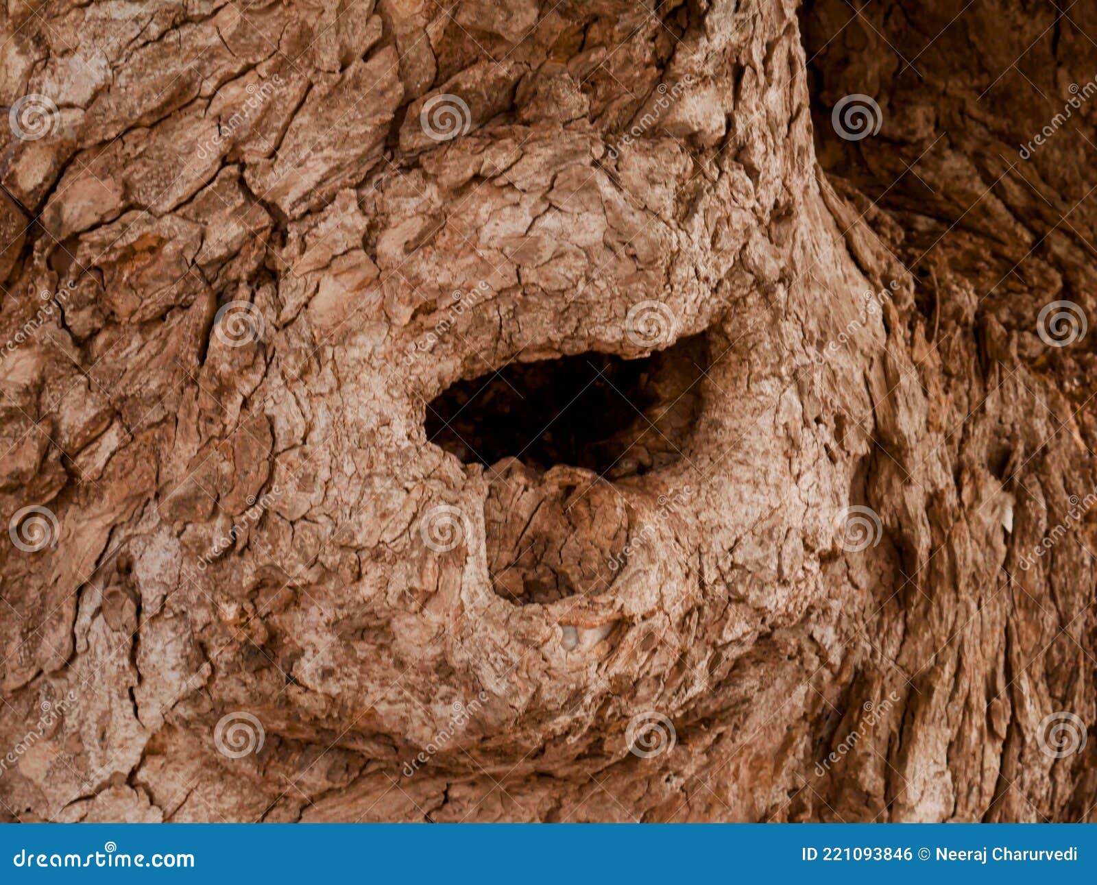 Tree Branch Hole on Center Frame Stock Photo - Image of circular, frame ...