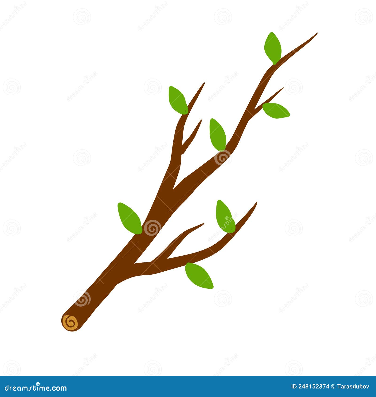 Tree Branch with Leaf on White Background Illustration. Stock Vector ...