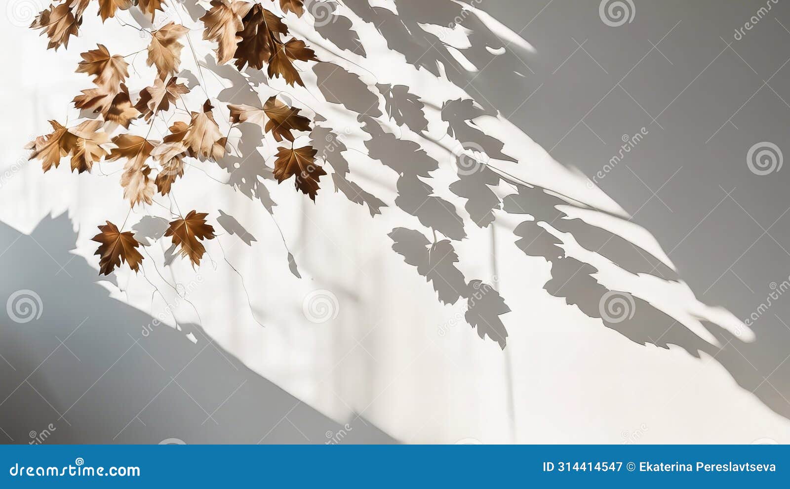 A Tree Branch with Leaves is Hanging from Ceiling Stock Image - Image ...