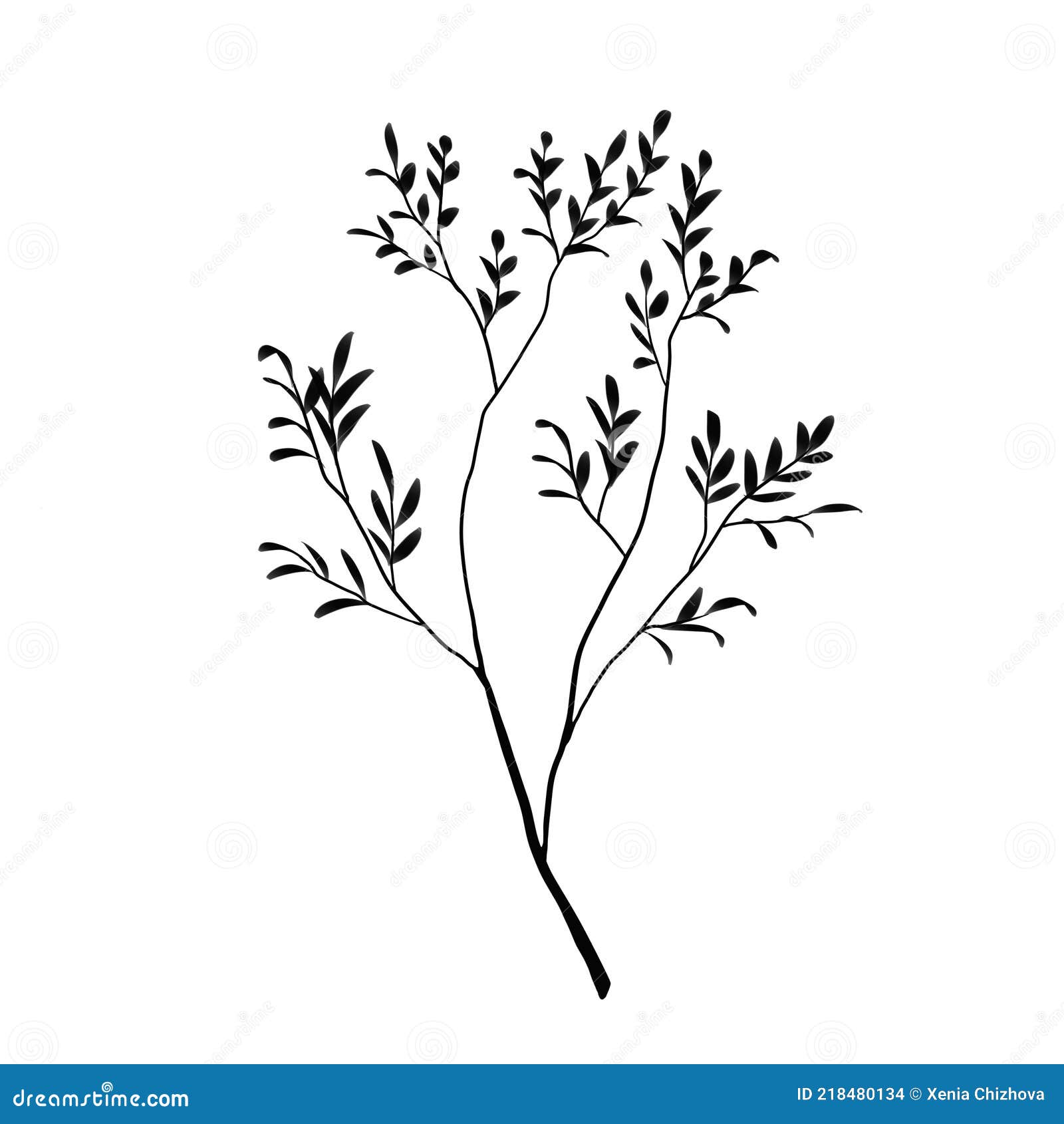 Tree Branch Outline