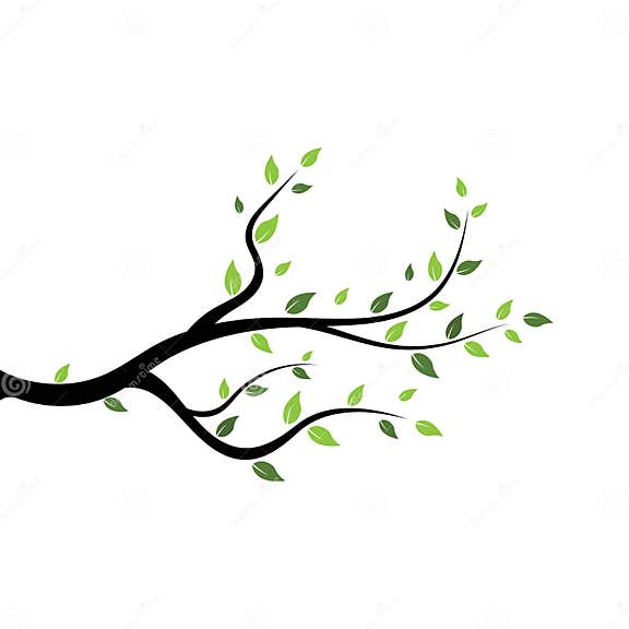 Tree branch logo vector stock illustration. Illustration of sakura ...
