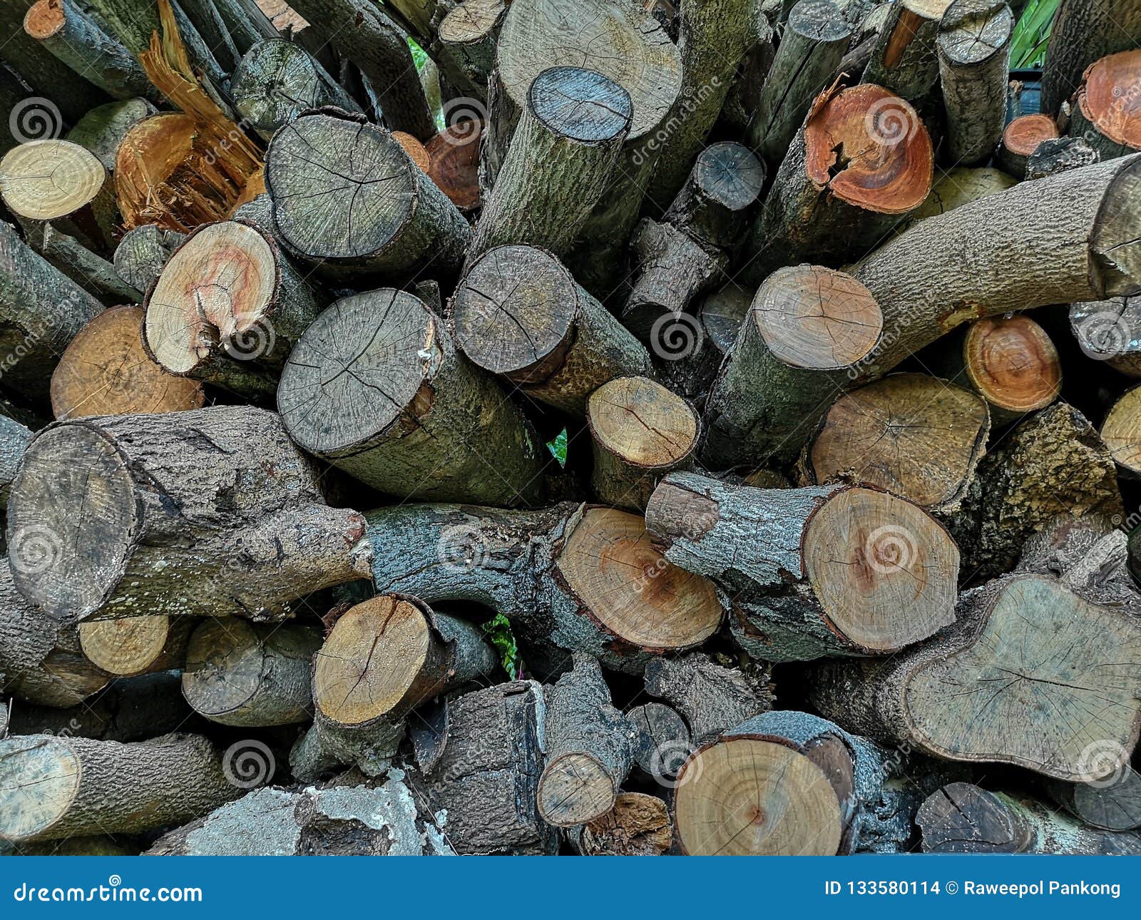 Tree Branch Overlay Abstract Background Stock Photo - Image of ...