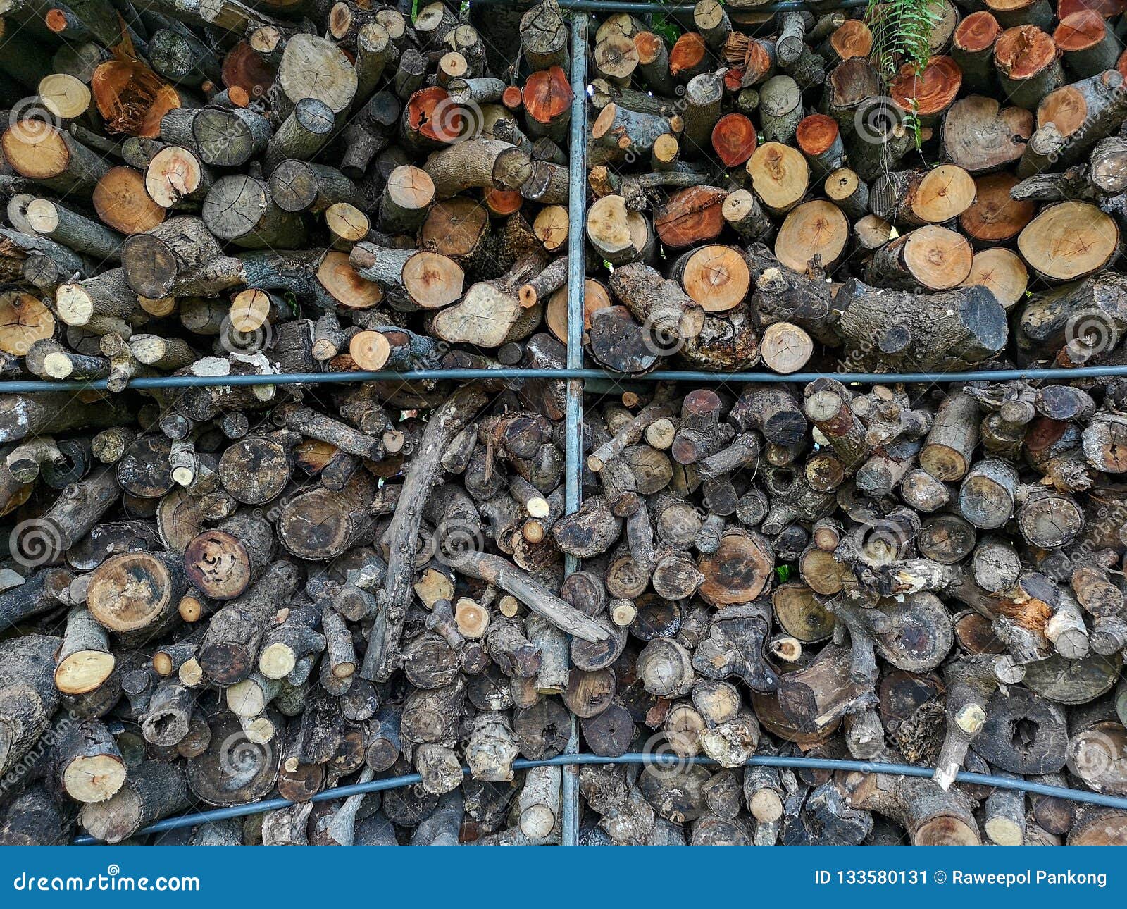 Tree Branch Overlay Abstract Background Stock Image - Image of pattern ...