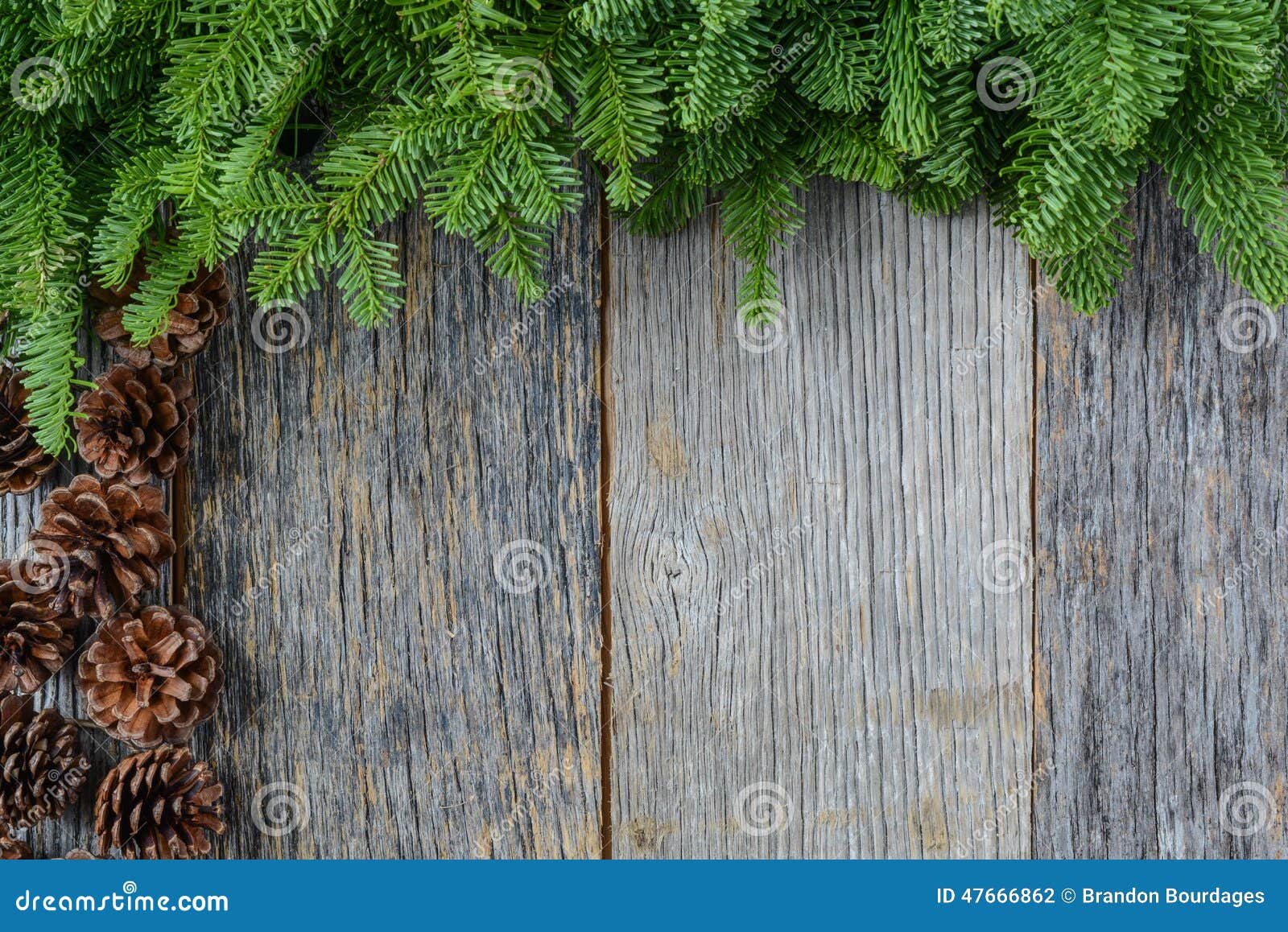 Tree Branch on Rustic Wooden Background Stock Photo - Image of symbol ...