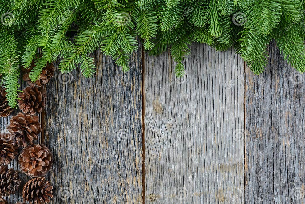 Tree Branch on Rustic Wooden Background Stock Photo - Image of symbol ...