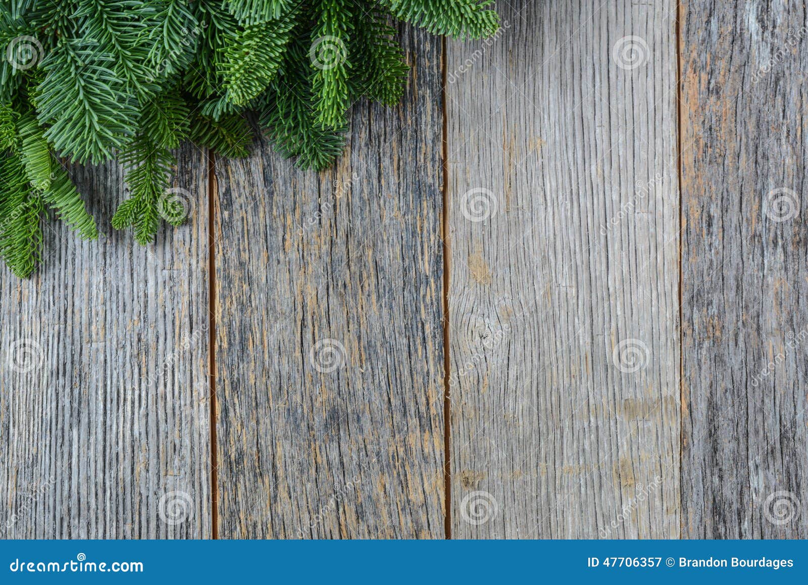 Tree Branch on Rustic Wooden Background Stock Image - Image of rustic ...