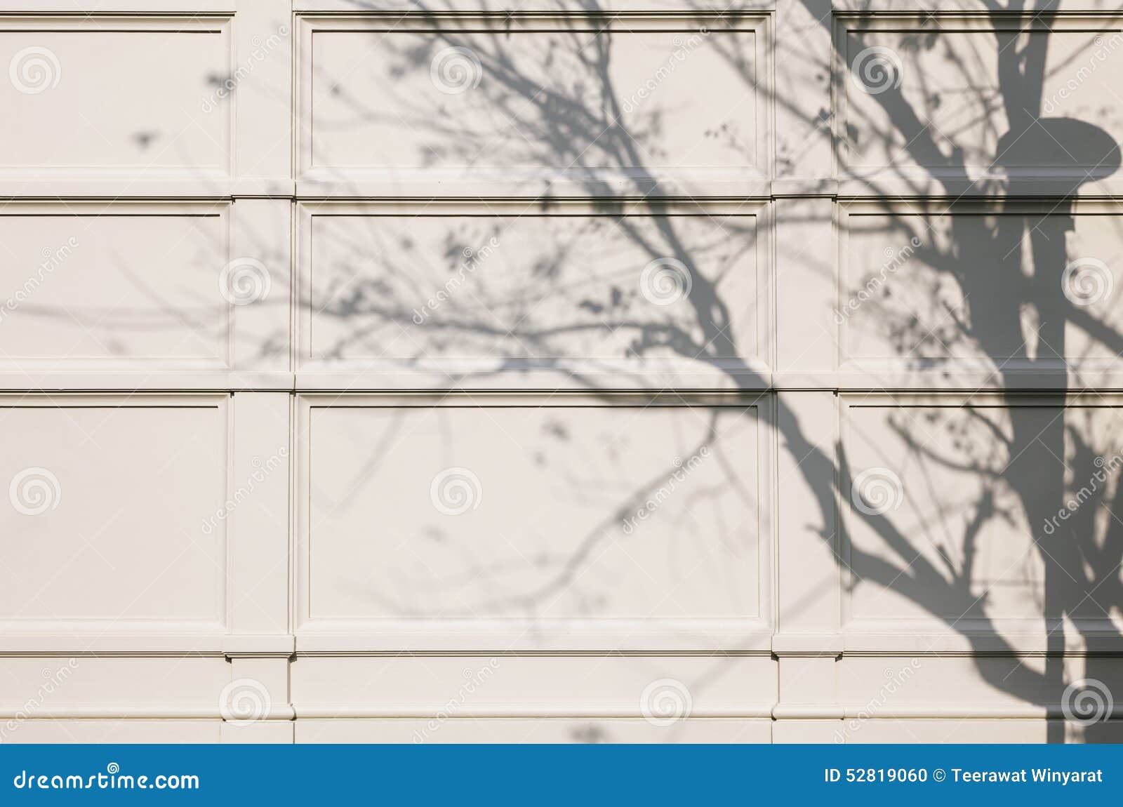 Tree Branch Shadow on Wall Background Stock Photo - Image of leaf, tree ...