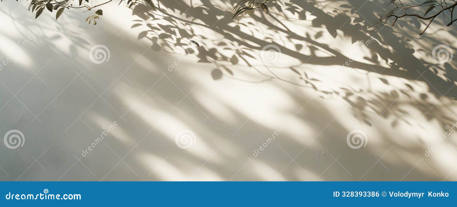 Tree Branch Shadows on Cream Wall, Minimalist Natural Light Concept ...