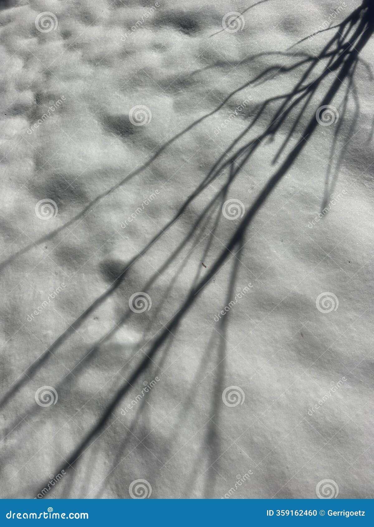 Tree Branch Shadows in the Snow Pattern Stock Photo - Image of line ...