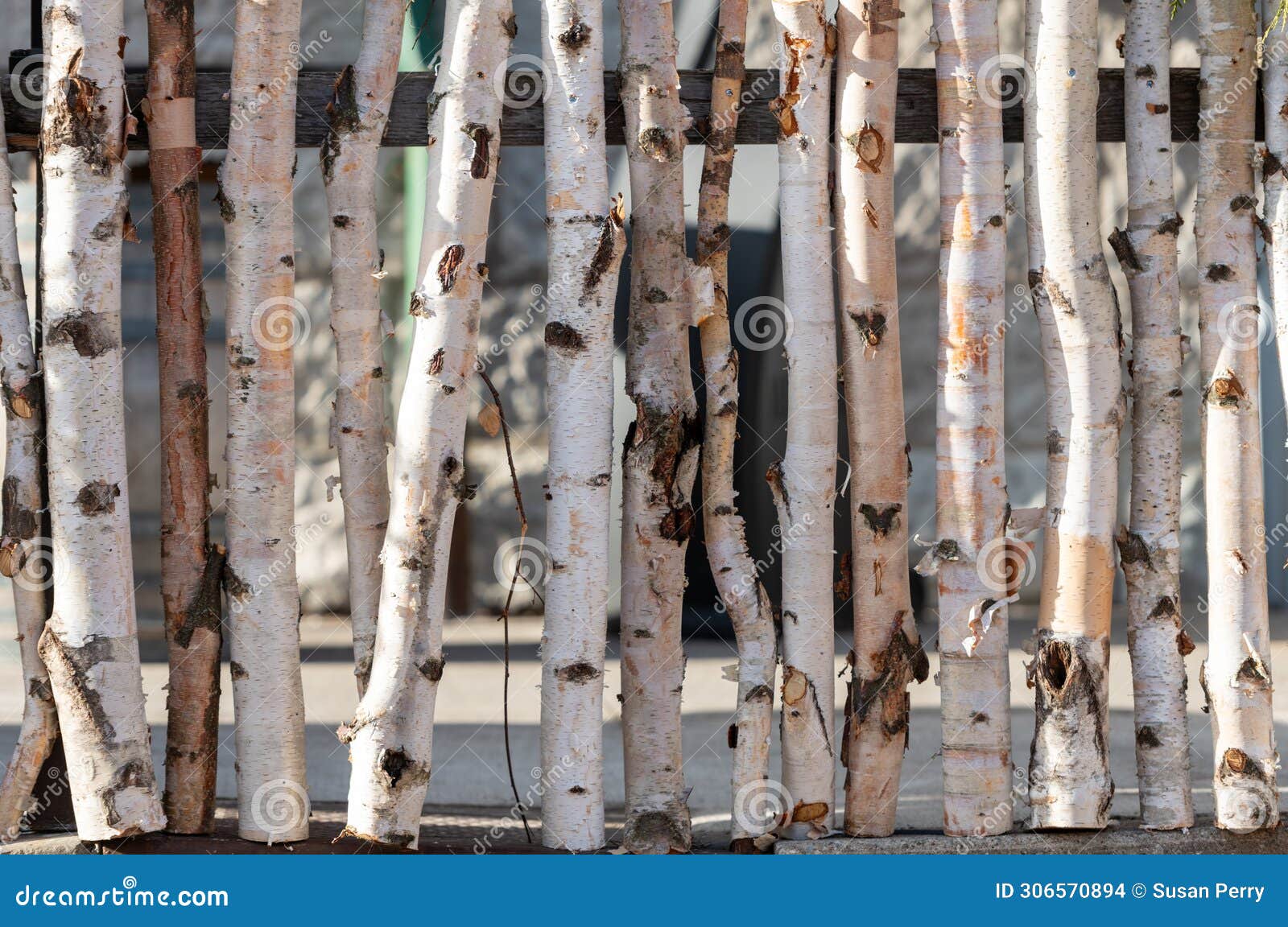 Tree Branch Sticks Lined Up As Decorative Wall Stock Photo - Image of ...