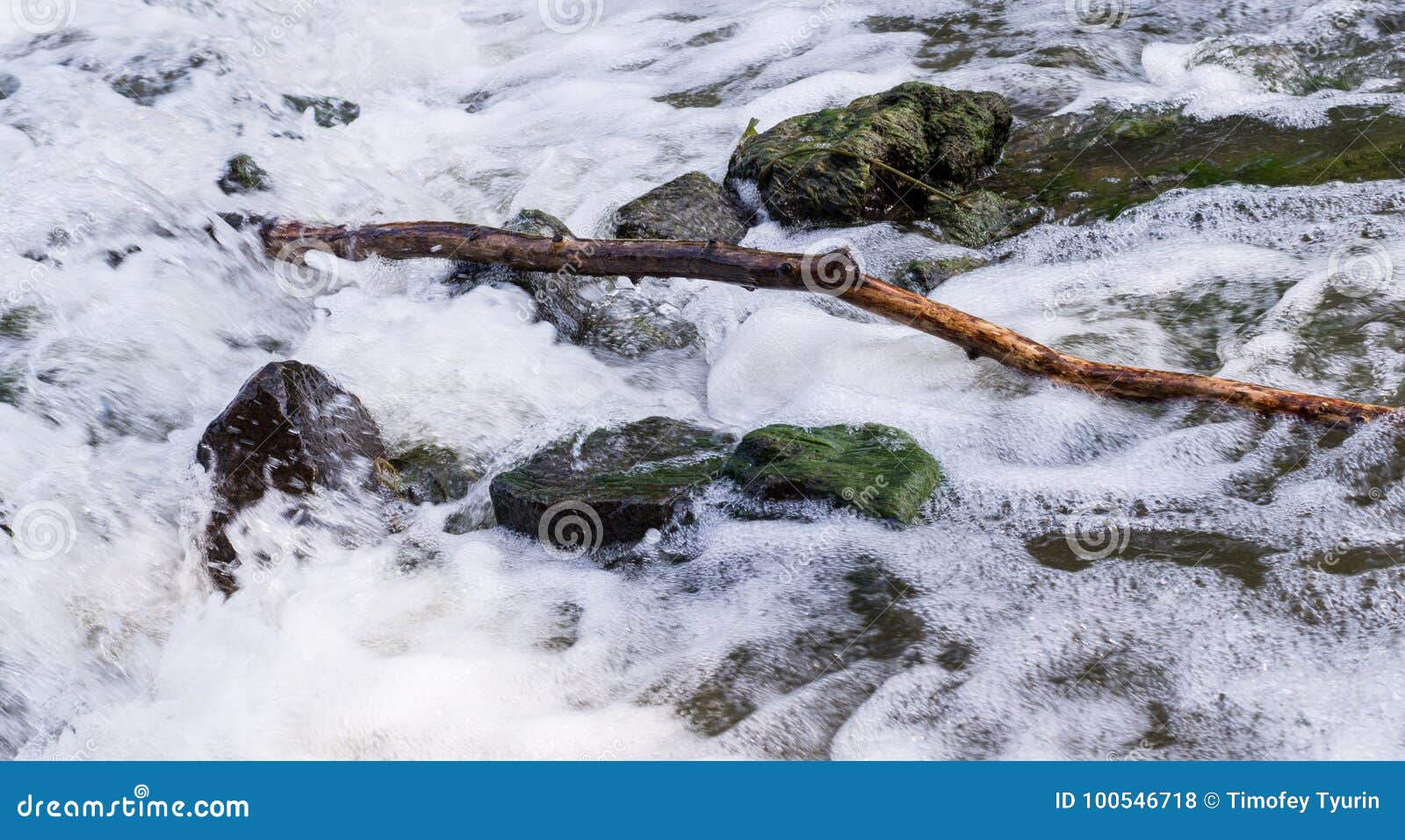 Tree Branch in Stream, Small Waterfall. Background, Nature. Stock Photo ...