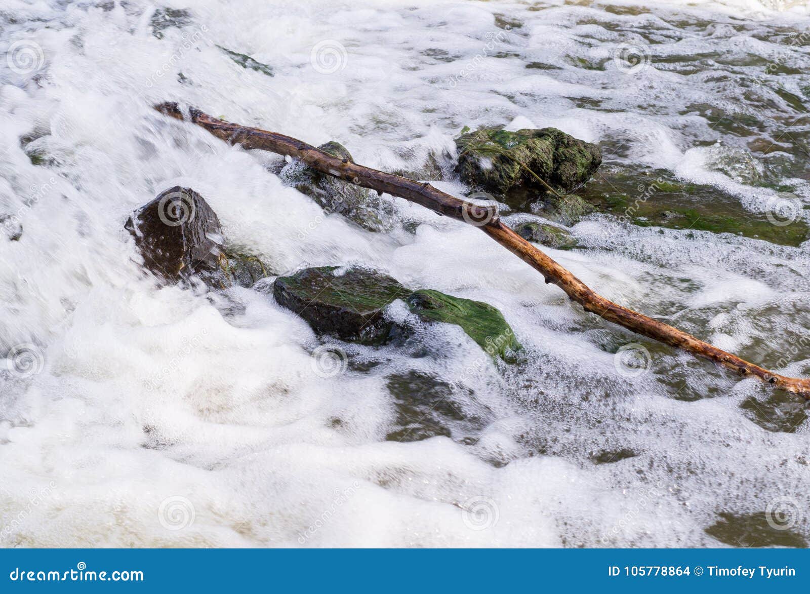 Stream Bed Of A Small Polluted River Undegoing Eutrophication Royalty ...