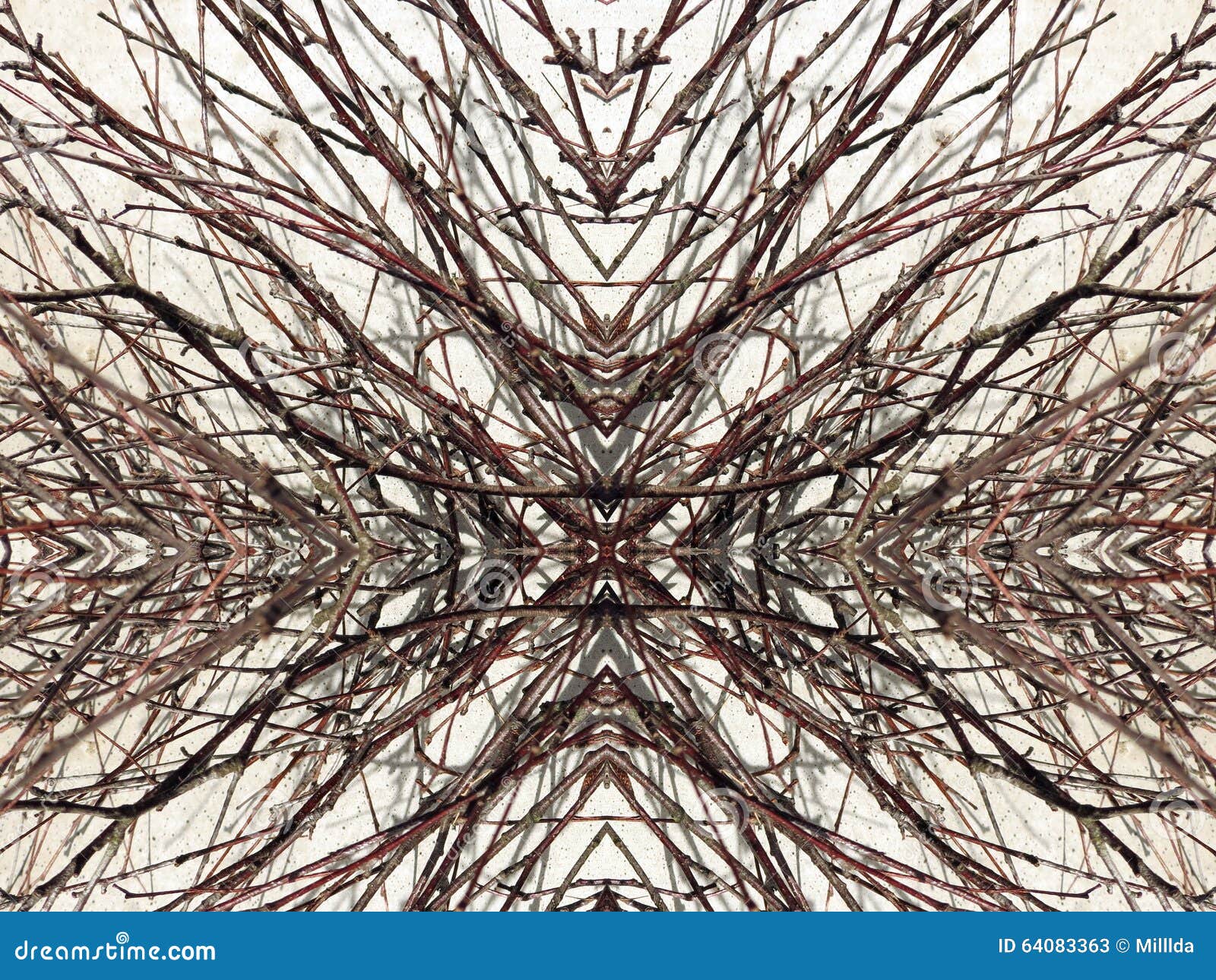 Tree branches abstract stock image. Image of brown, macro - 64083363