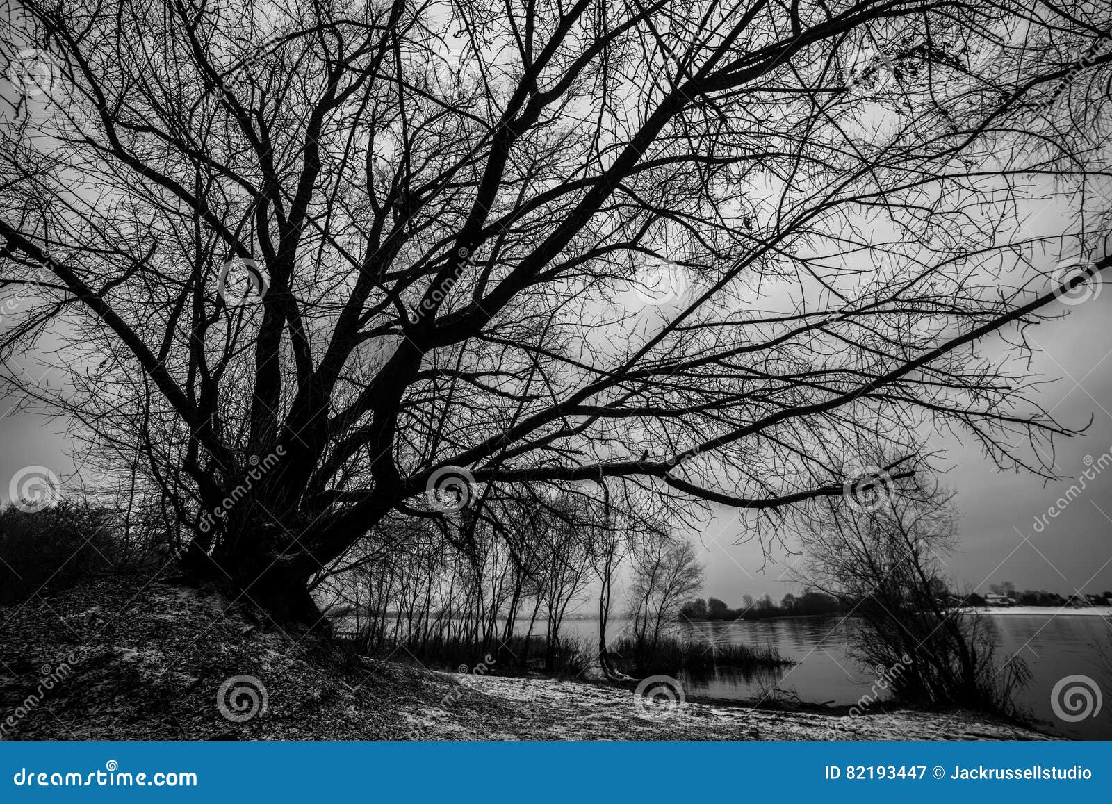 Winter Mistick Stock Photos - Free & Royalty-Free Stock Photos from ...