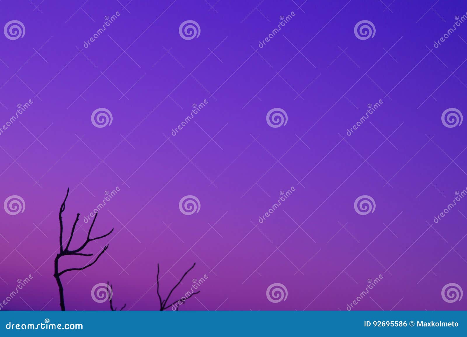 Tree Branches Color Background Stock Photo - Image of nature, plant ...