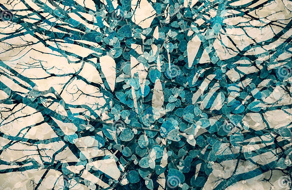 Tree Branches with Double Exposure and Infrared. Stock Photo - Image of ...