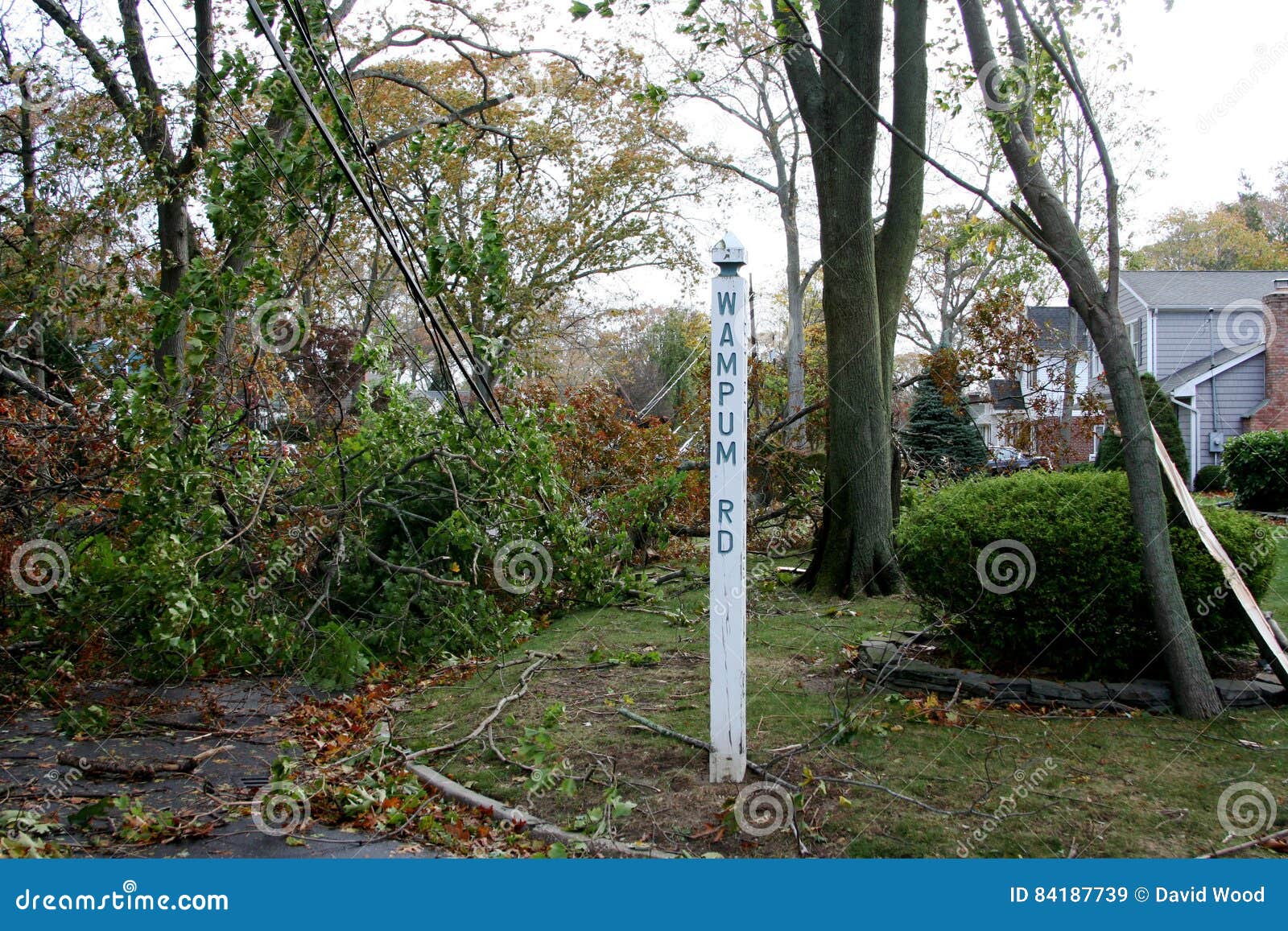Tree Branches on Downed Wires after Super Storm Sandy Stock Image ...