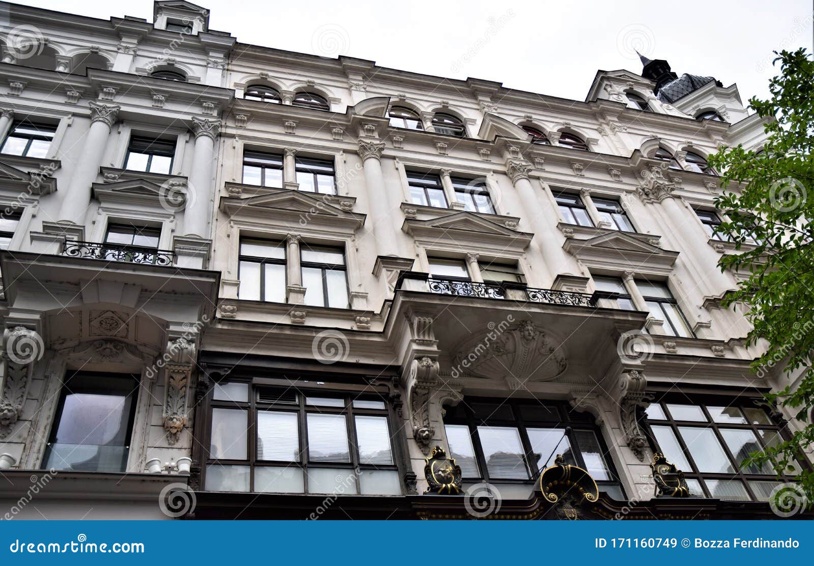 Tree Branches and an Element of the Facade of an Elegant Building, with ...