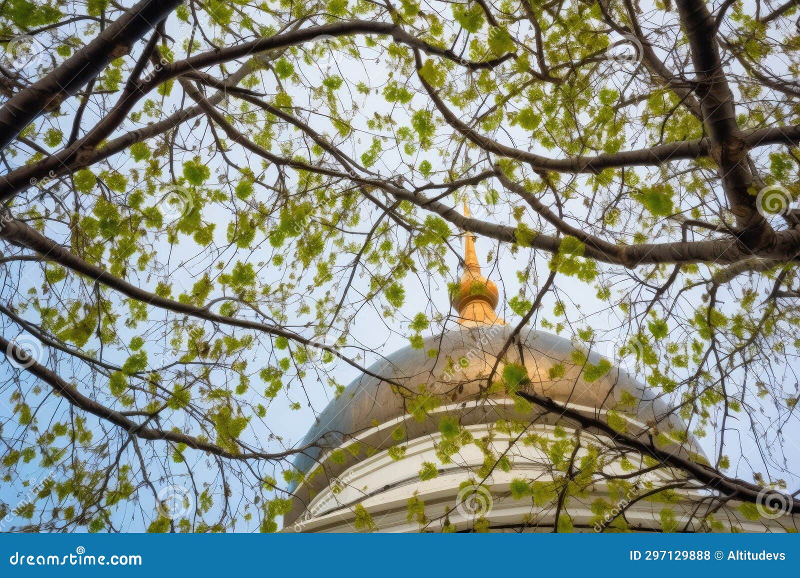 Tree Branches Framing the Dome of a Mosque Stock Photo - Image of ...
