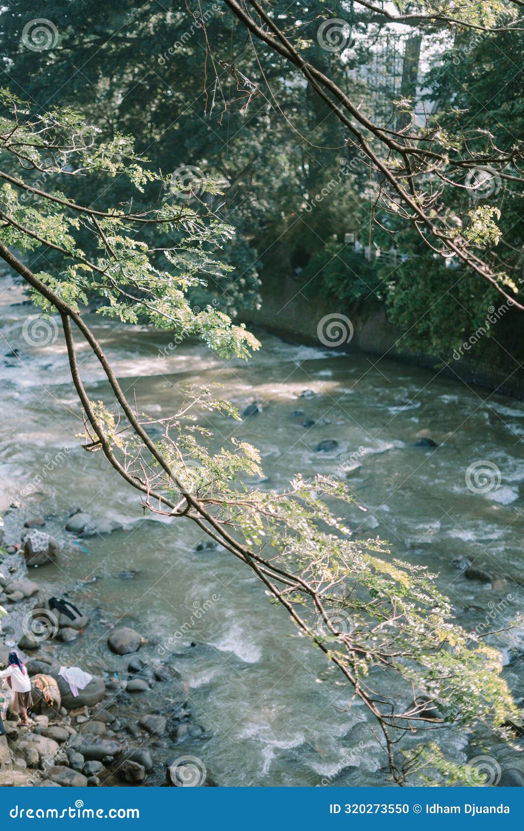 Tree Branches Framing a View of a Large River Stock Photo - Image of ...