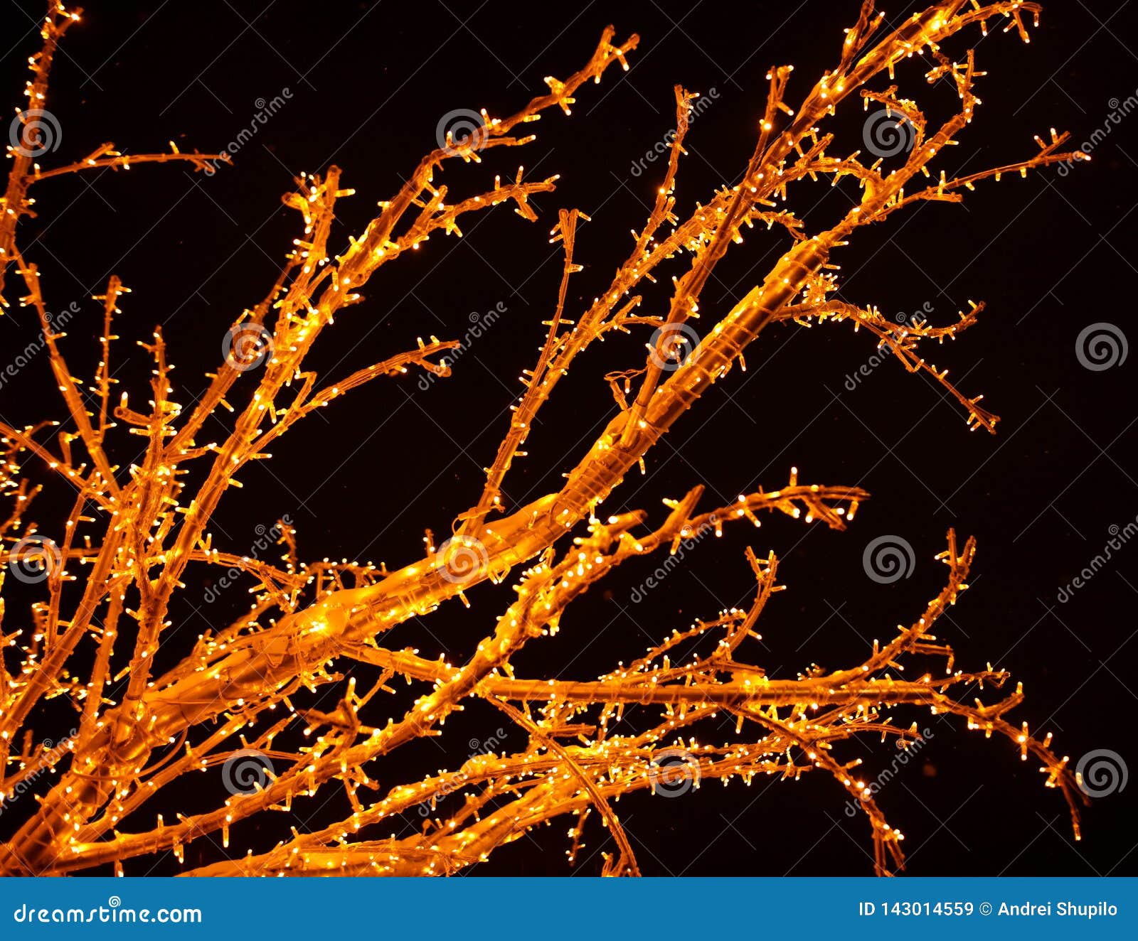 Tree Branches Glow with Lights at Night Stock Image - Image of pattern ...