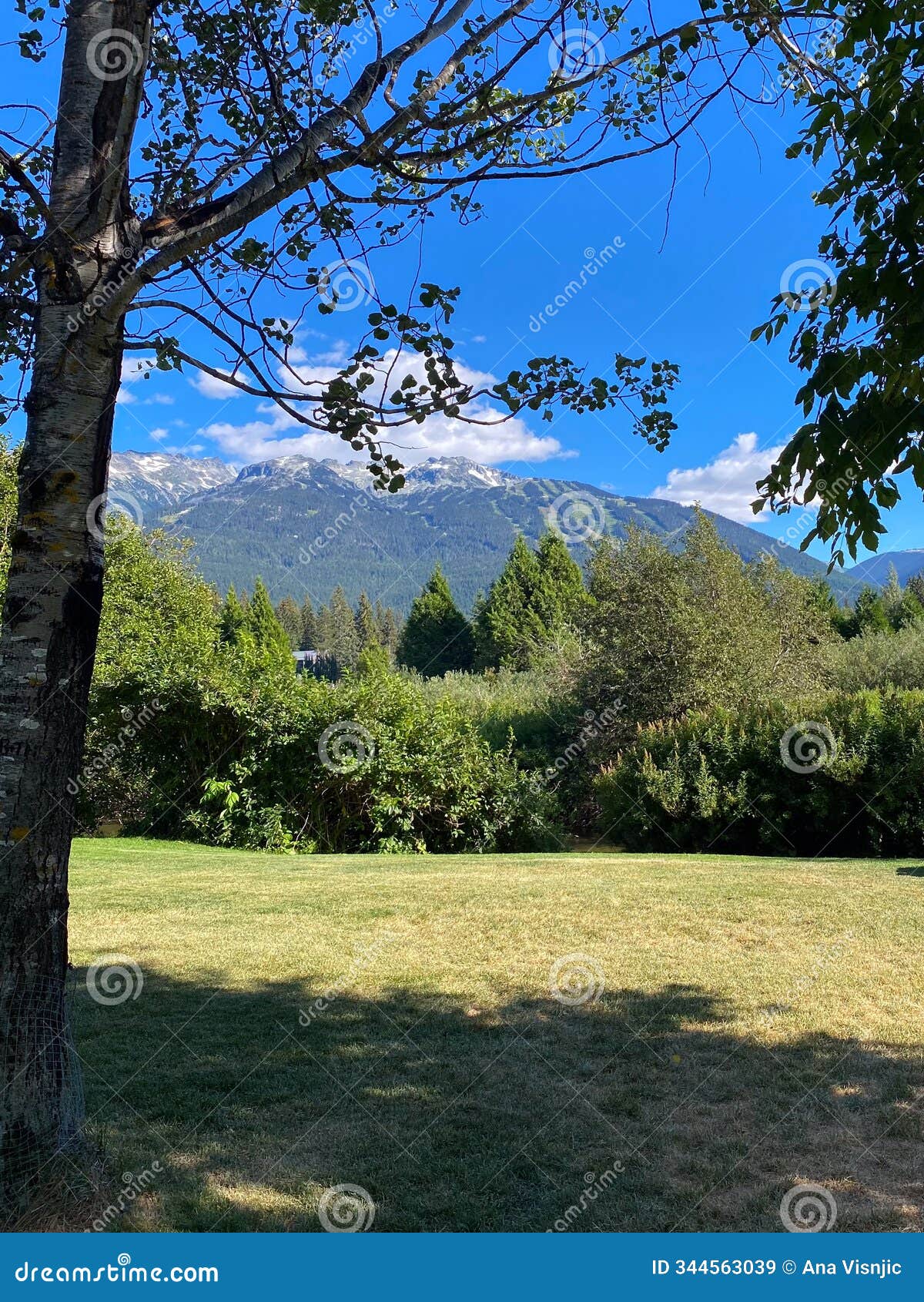 View through the Trees of Mountains and Blue Skies Stock Image - Image ...