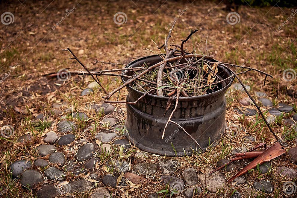 Tree Branches in the Iron Bucket in Forest Stock Photo - Image of ...