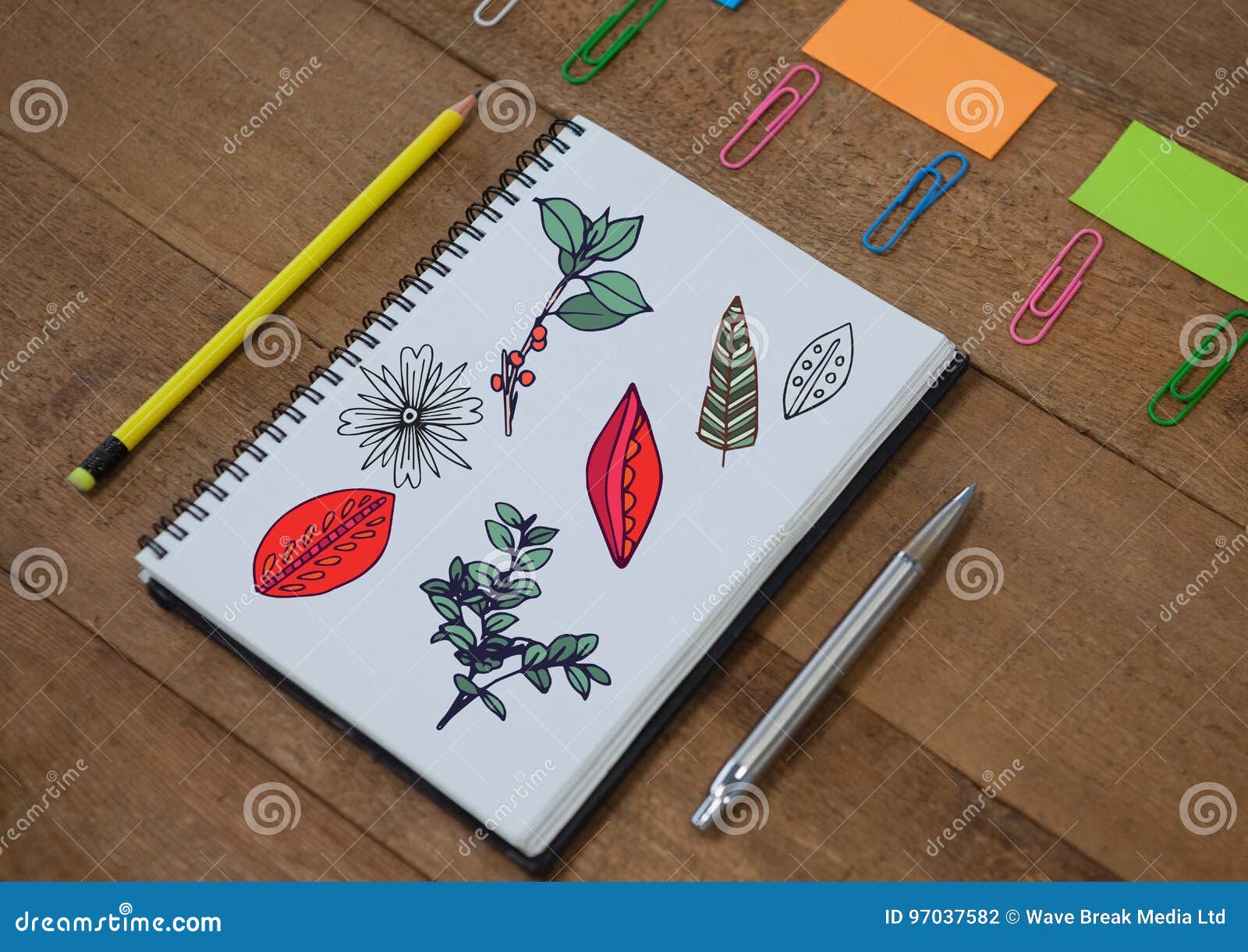 Tree Branches and Leafs Drawn Onto Notepad Creatively Stock ...