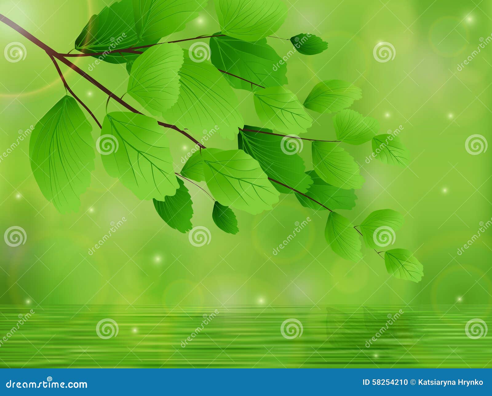 Tree Branches with Leaves Over the Water and Reflections Stock Vector ...