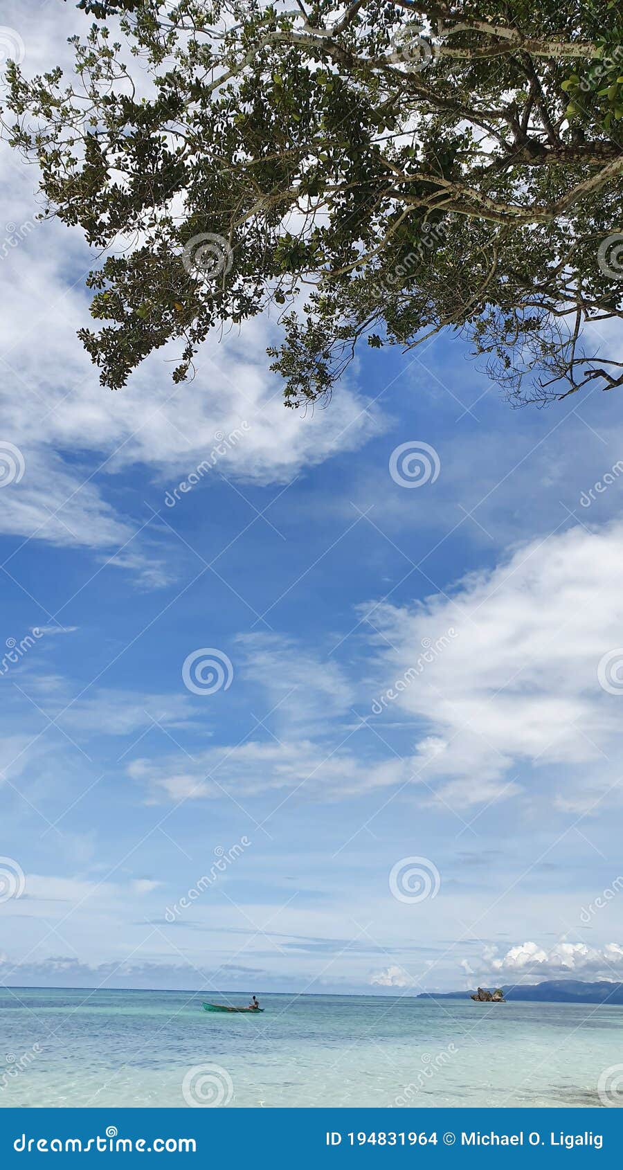 Tree Branches and Leaves Overlooking Blue Sky and Sea Stock Photo ...