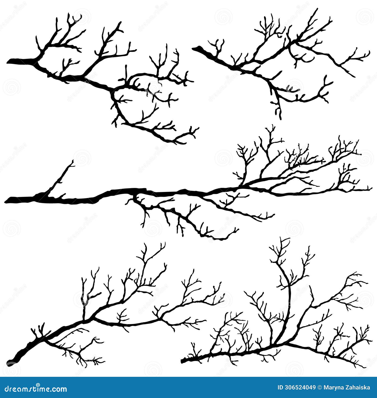 Tree Branches without Leaves, Set of Individual Elements. Stock Vector ...