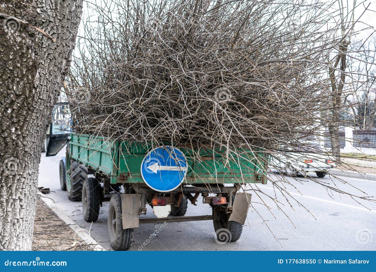 Tree Branches are Loaded into the Car Stock Photo - Image of fallen ...