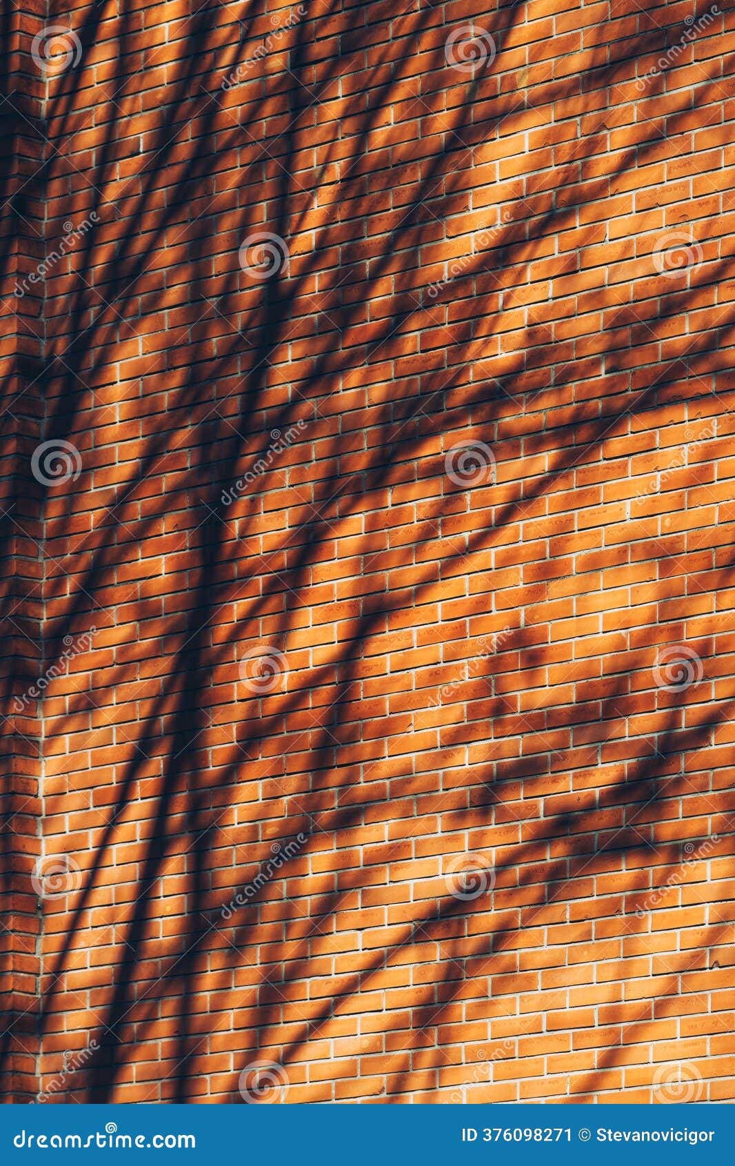 Building Red Brick Wall Of Texture Stock Photo | CartoonDealer.com ...