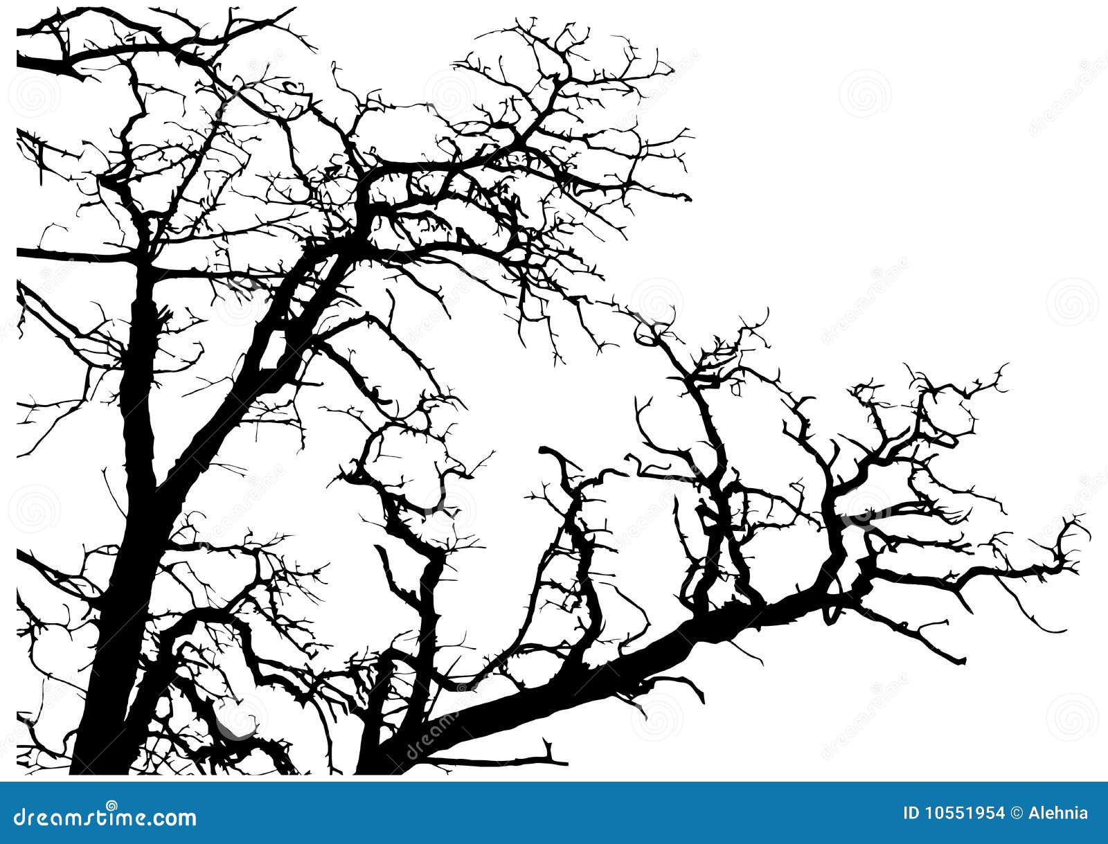 Tree branches silhouette stock vector. Illustration of branch - 10551954