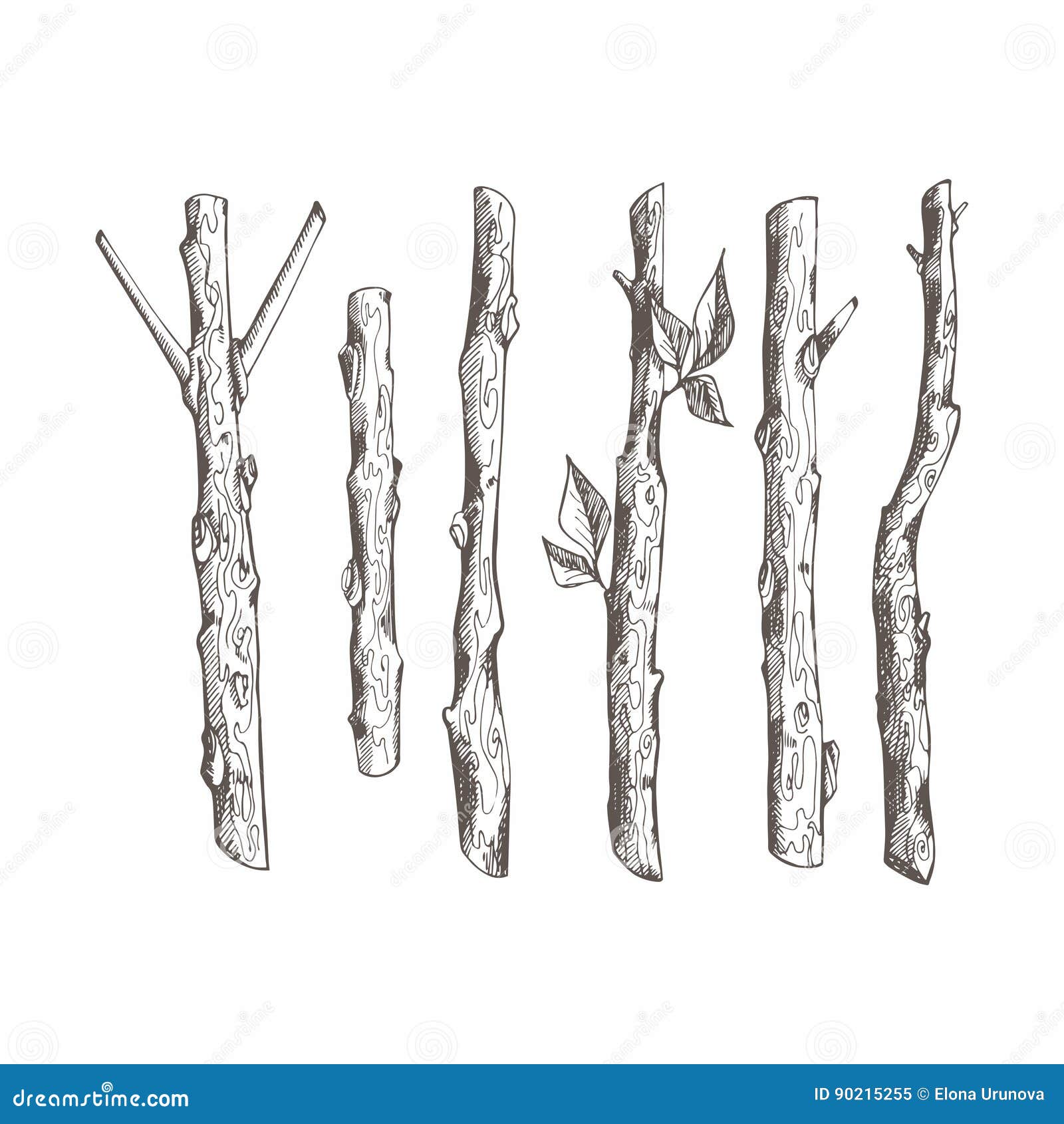 Tree branches. Vector set stock vector. Illustration of print - 90215255
