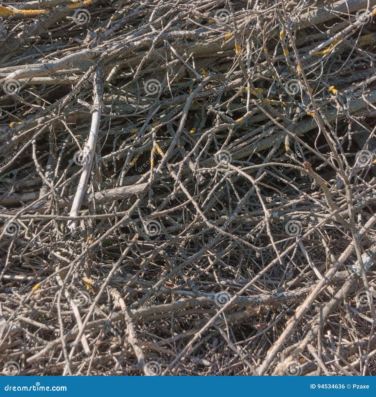 Tree Branches - Waste of Timber Industry Stock Photo - Image of recycle ...
