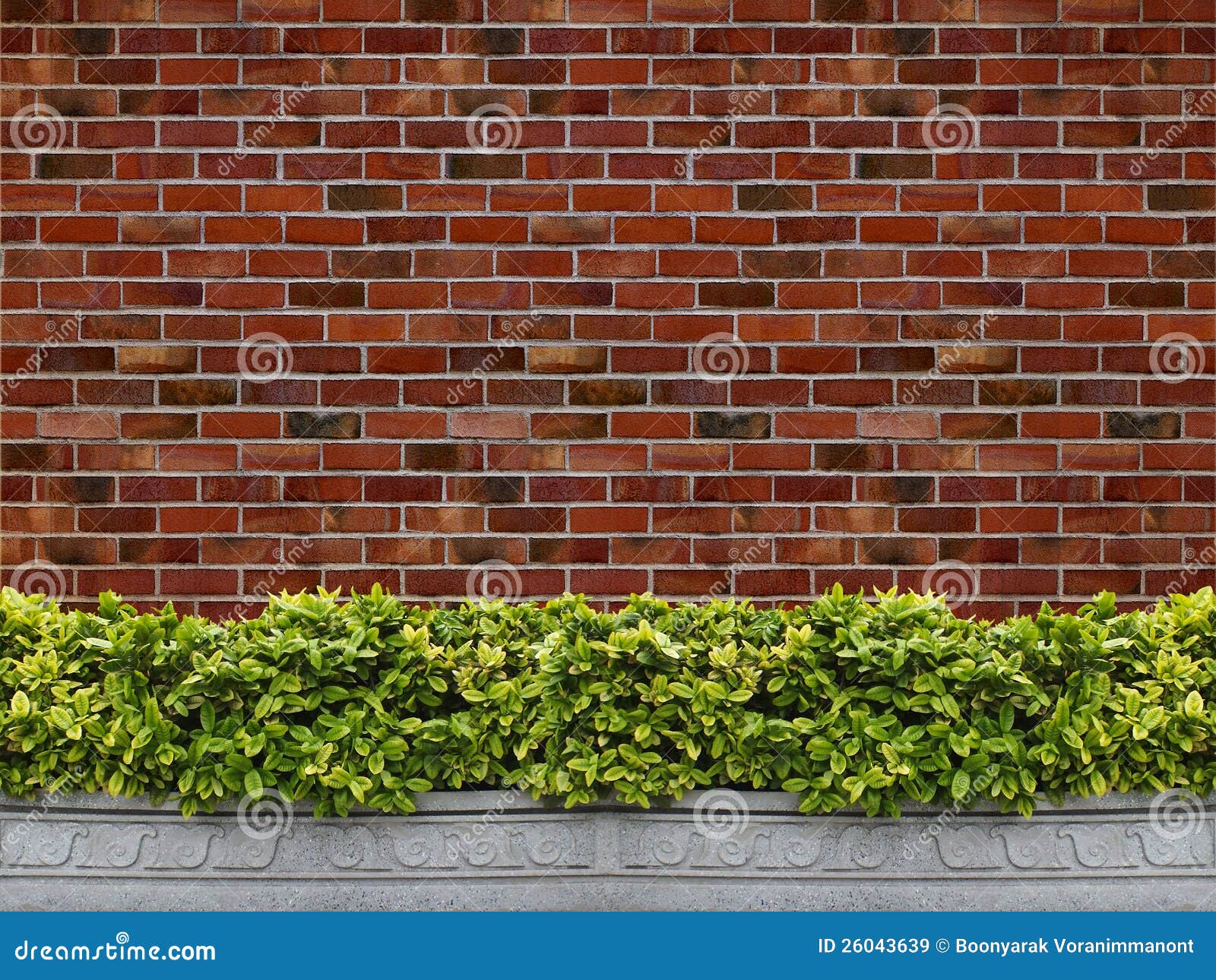 Tree with Brick Wall Background Stock Image - Image of backdrop ...