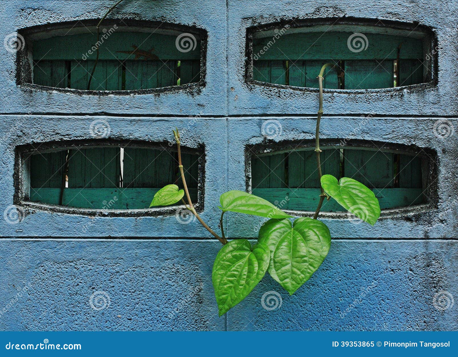 Tree with brick wall stock image. Image of texture, brick - 39353865