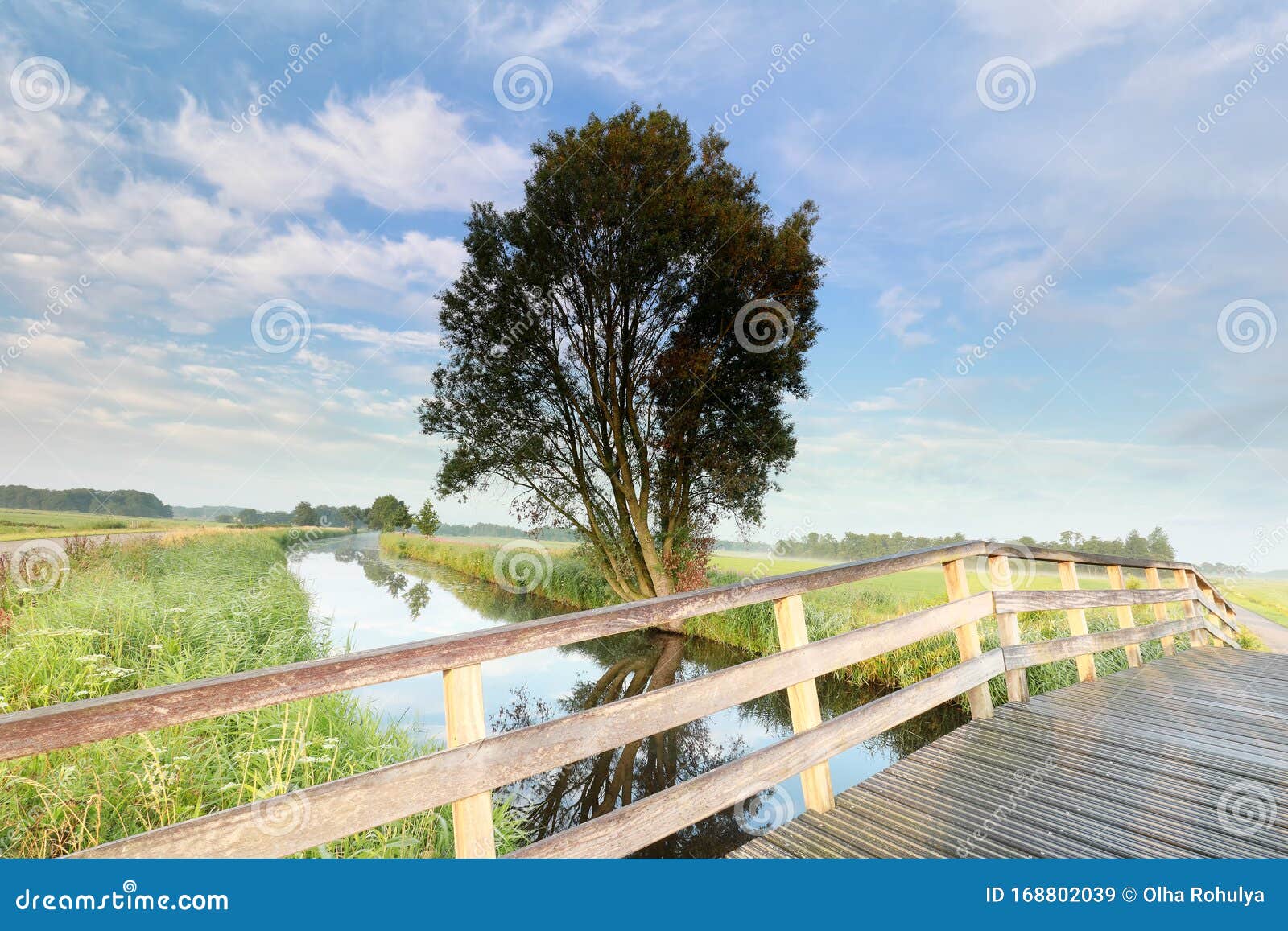 Tree by bridge by river stock image. Image of tree, scenic - 168802039